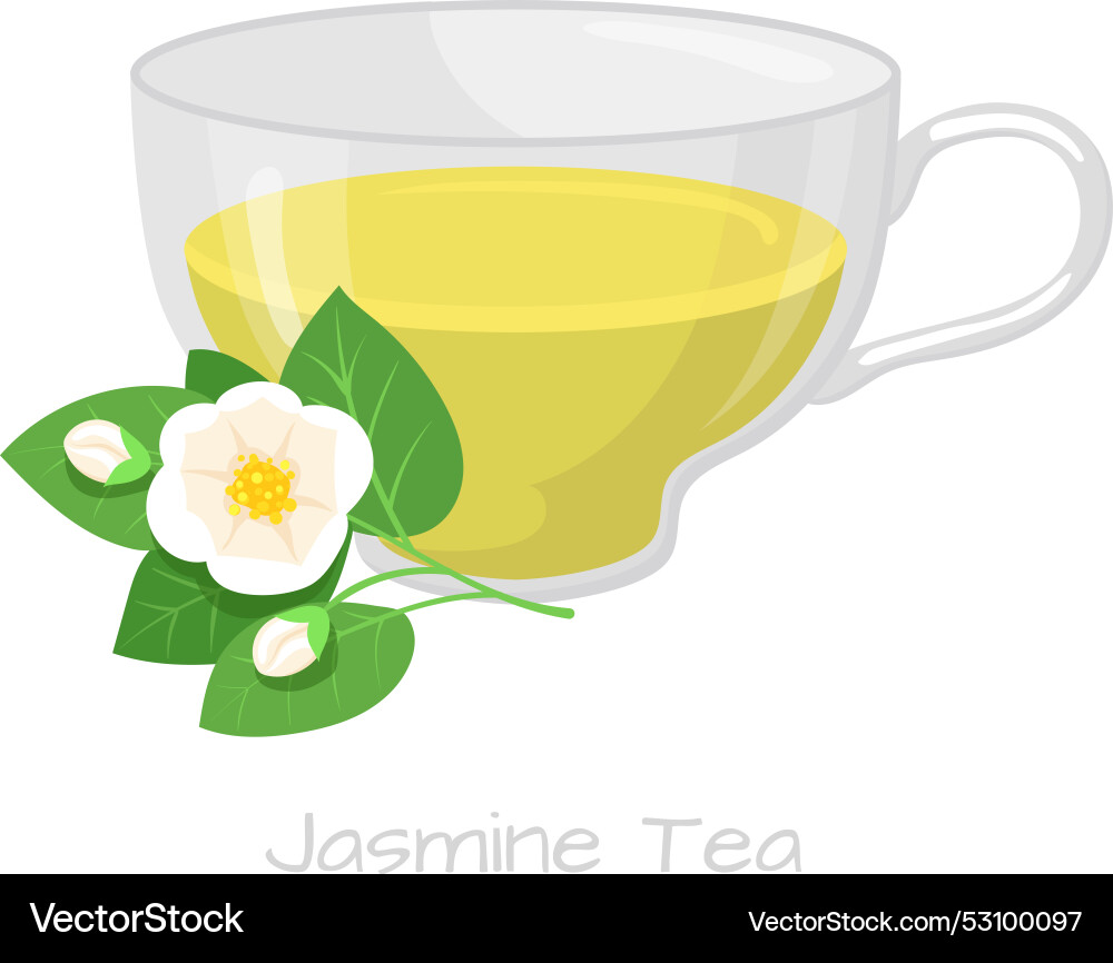 Jasmine tea cup color herbal drink Royalty Free Vector Image