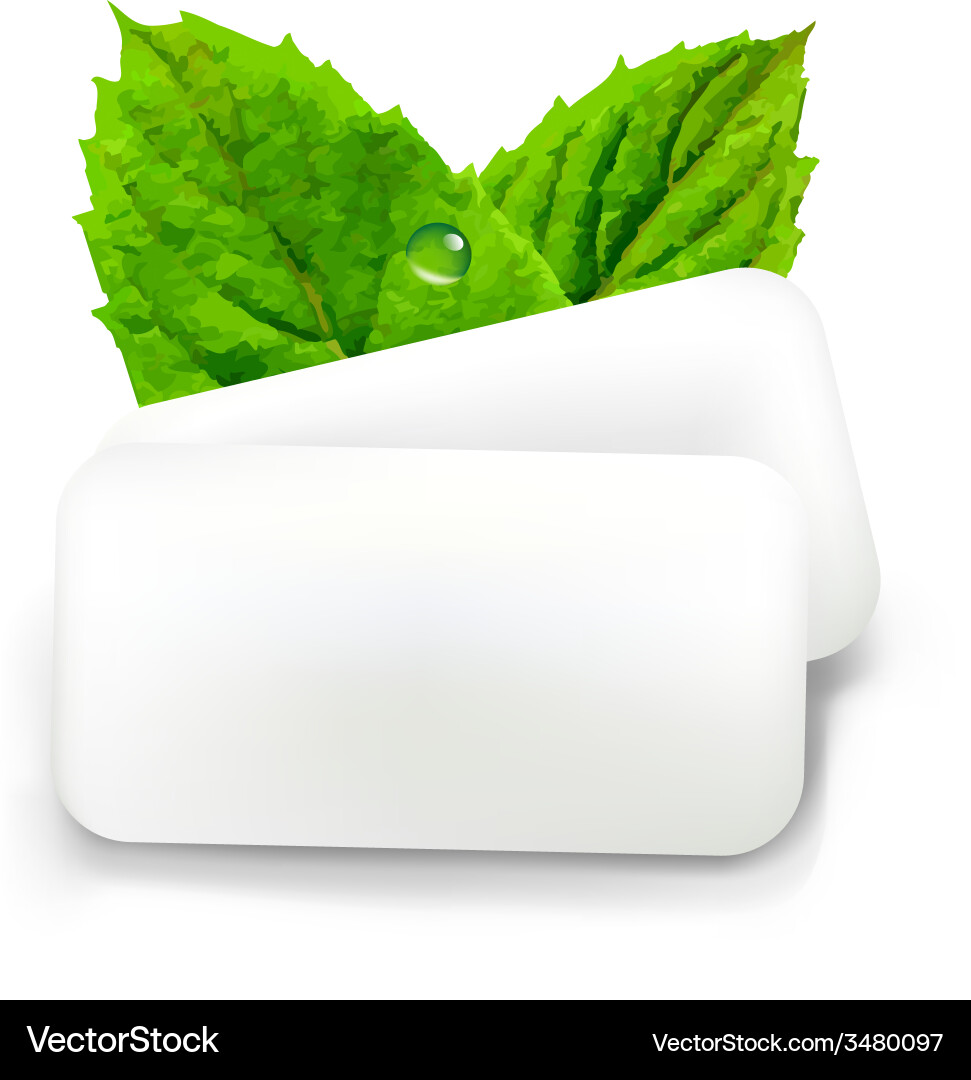 Mint gum Royalty Free Vector Image - VectorStock