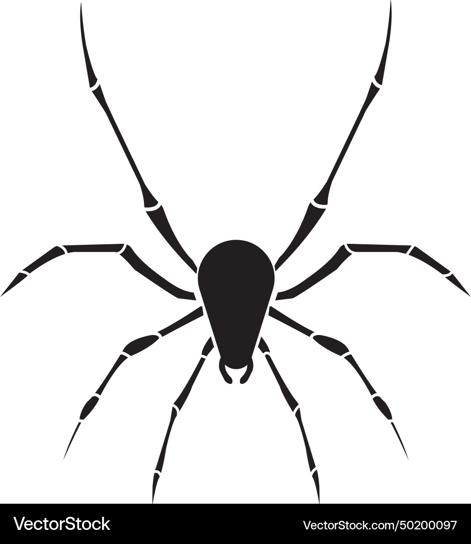 Spider icon Royalty Free Vector Image - VectorStock