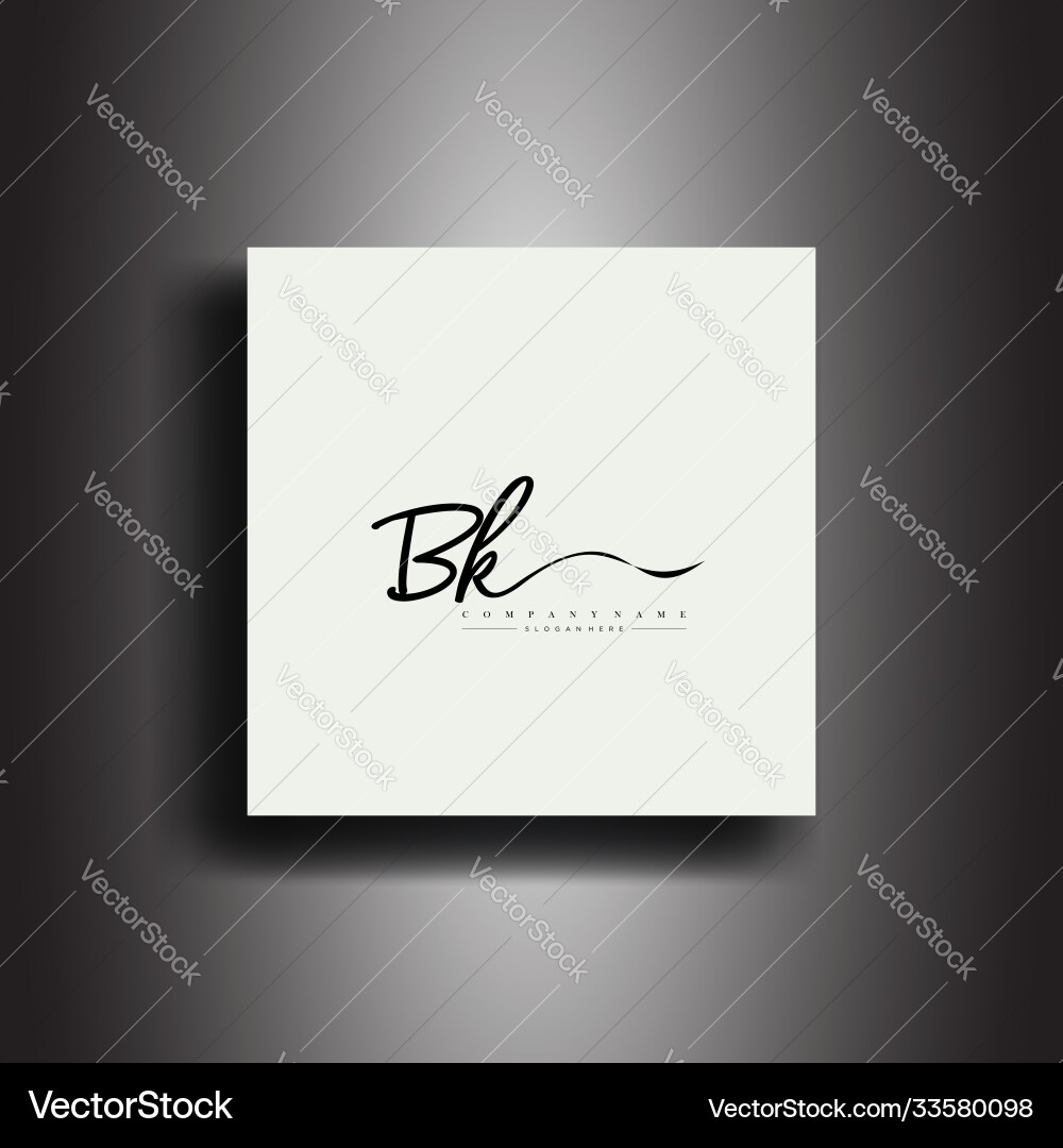 Bk signature style monogramcalligraphic lettering Vector Image