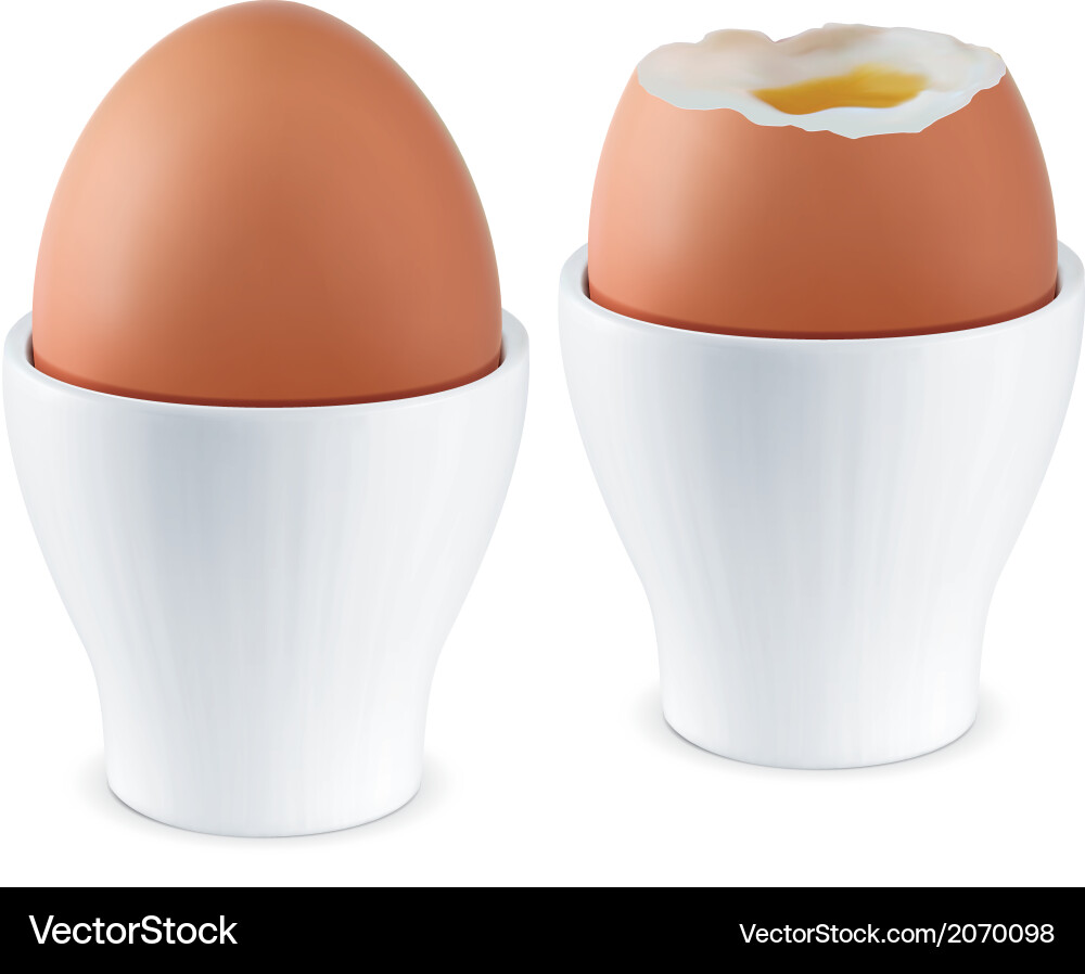 Boiled egg Royalty Free Vector Image - VectorStock