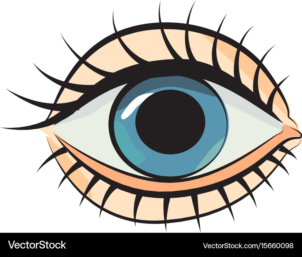 Cartoon image of eye – Royalty-Free Vector | VectorStock