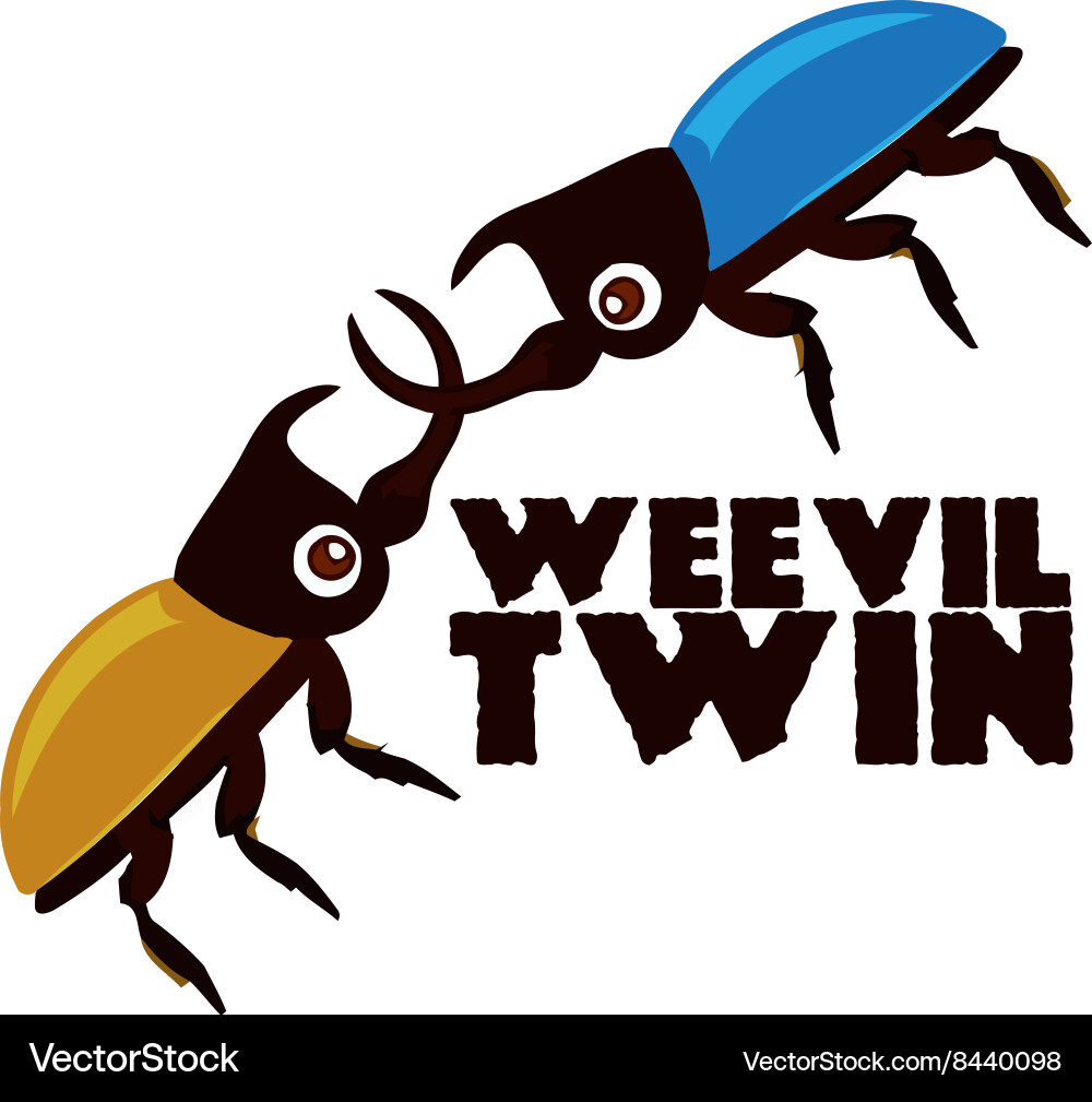 Weevil twin Royalty Free Vector Image - VectorStock