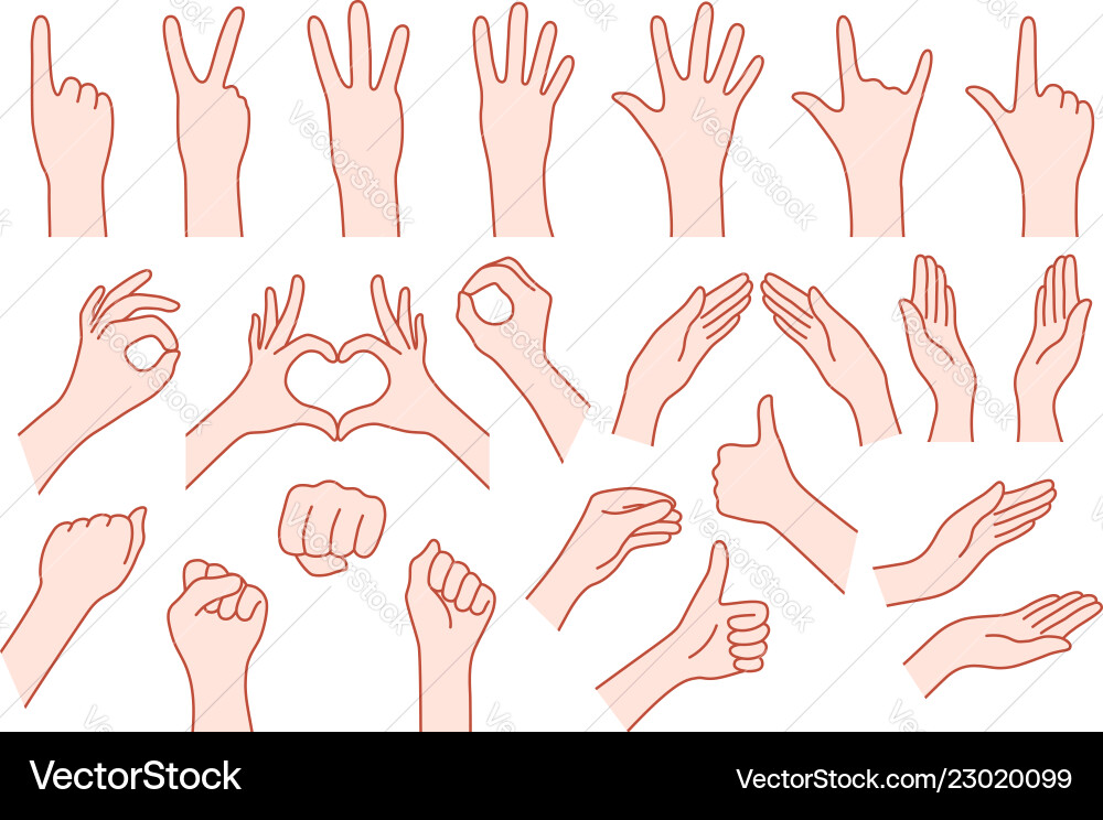 Diverse Hand Gestures & Shapes Royalty Free Vector Image
