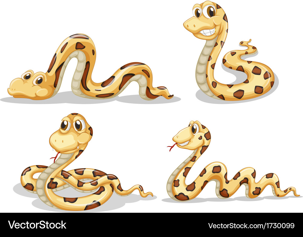 Four scary snakes Royalty Free Vector Image - VectorStock
