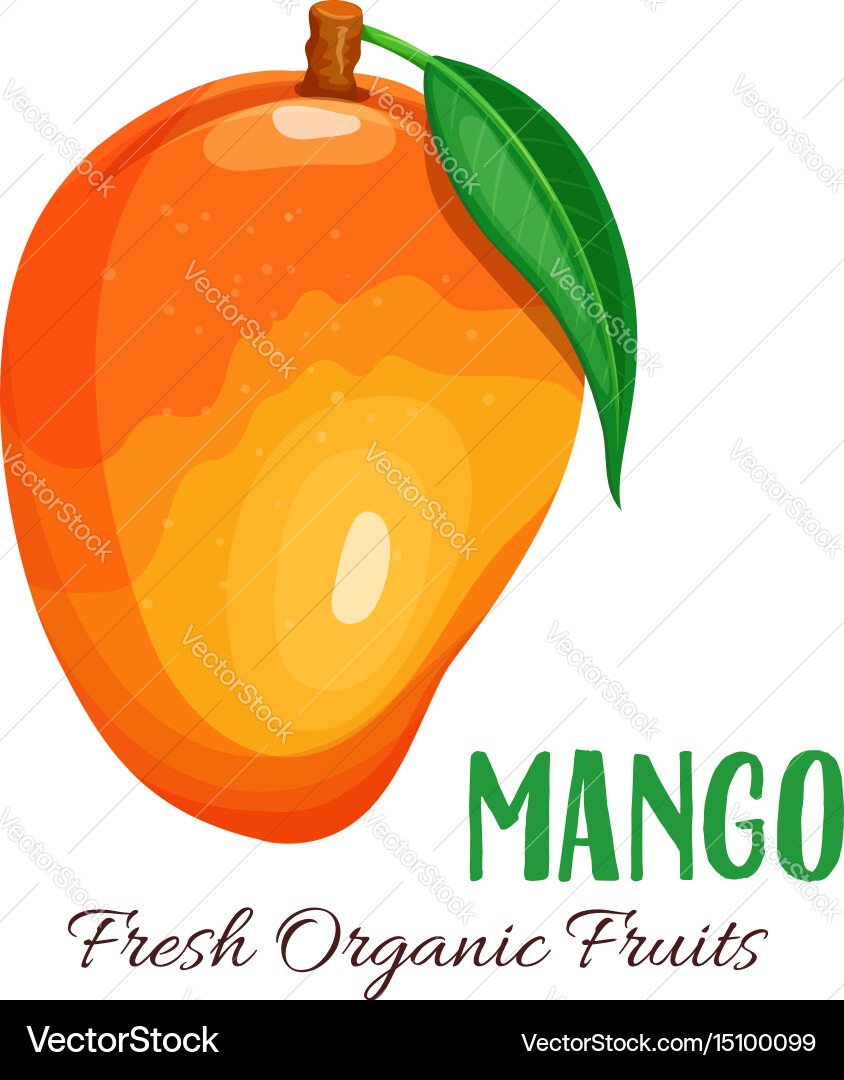 Ripe Mango Fruit Royalty Free Vector Image - VectorStock
