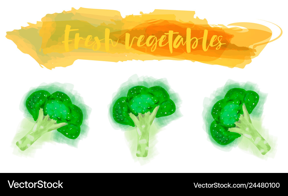 Vegetables food watercolor Royalty Free Vector Image