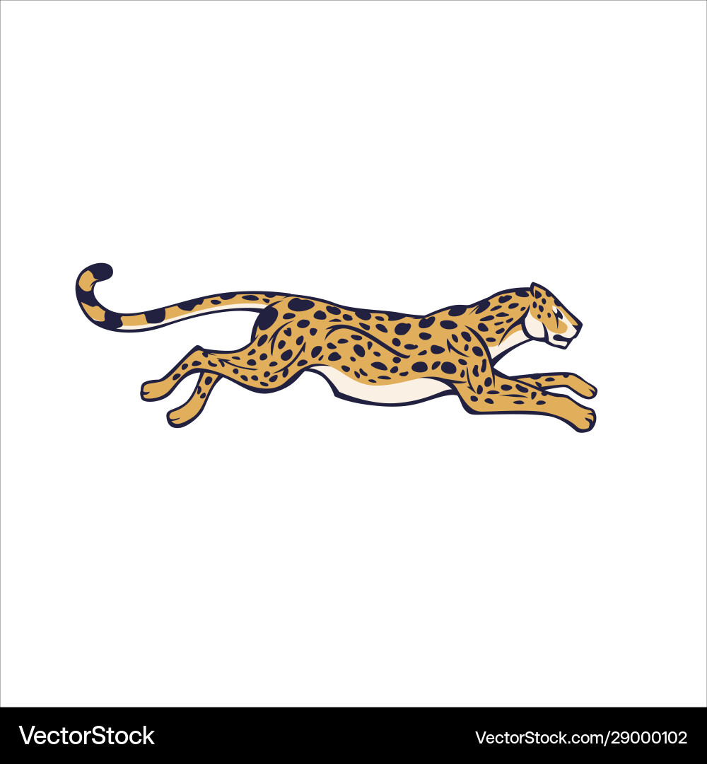Cartoon animal guepard running fast with high Vector Image