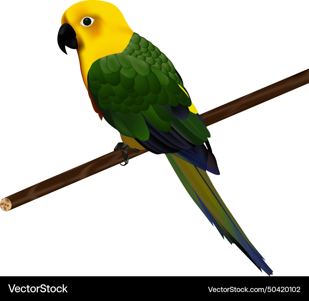 Parrot design Royalty Free Vector Image - VectorStock