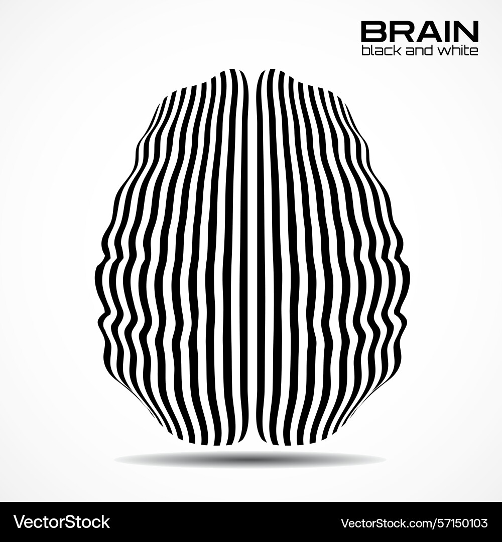 Abstract human brain with white and black lines – Royalty-Free Vector ...