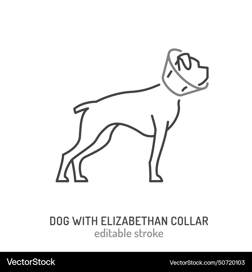 An elizabethan collar e icon pet ruff Royalty Free Vector