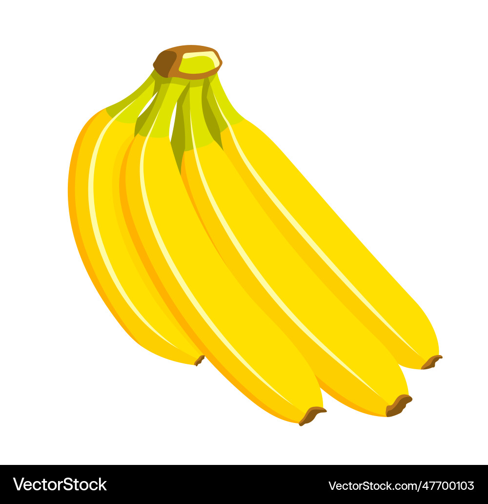 Beautiful bananas in cartoon style Royalty Free Vector Image