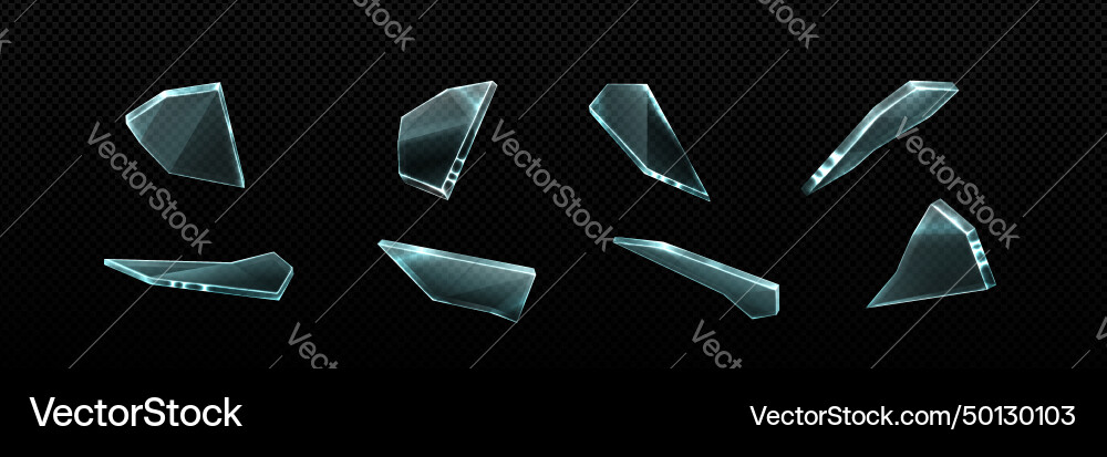 Broken glass shatter and piece Royalty Free Vector Image