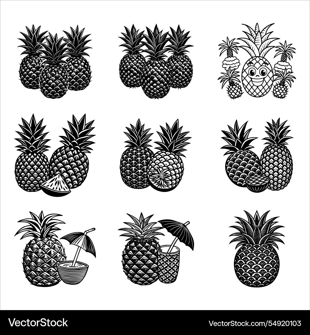 Pineapple Royalty Free Vector Image - VectorStock
