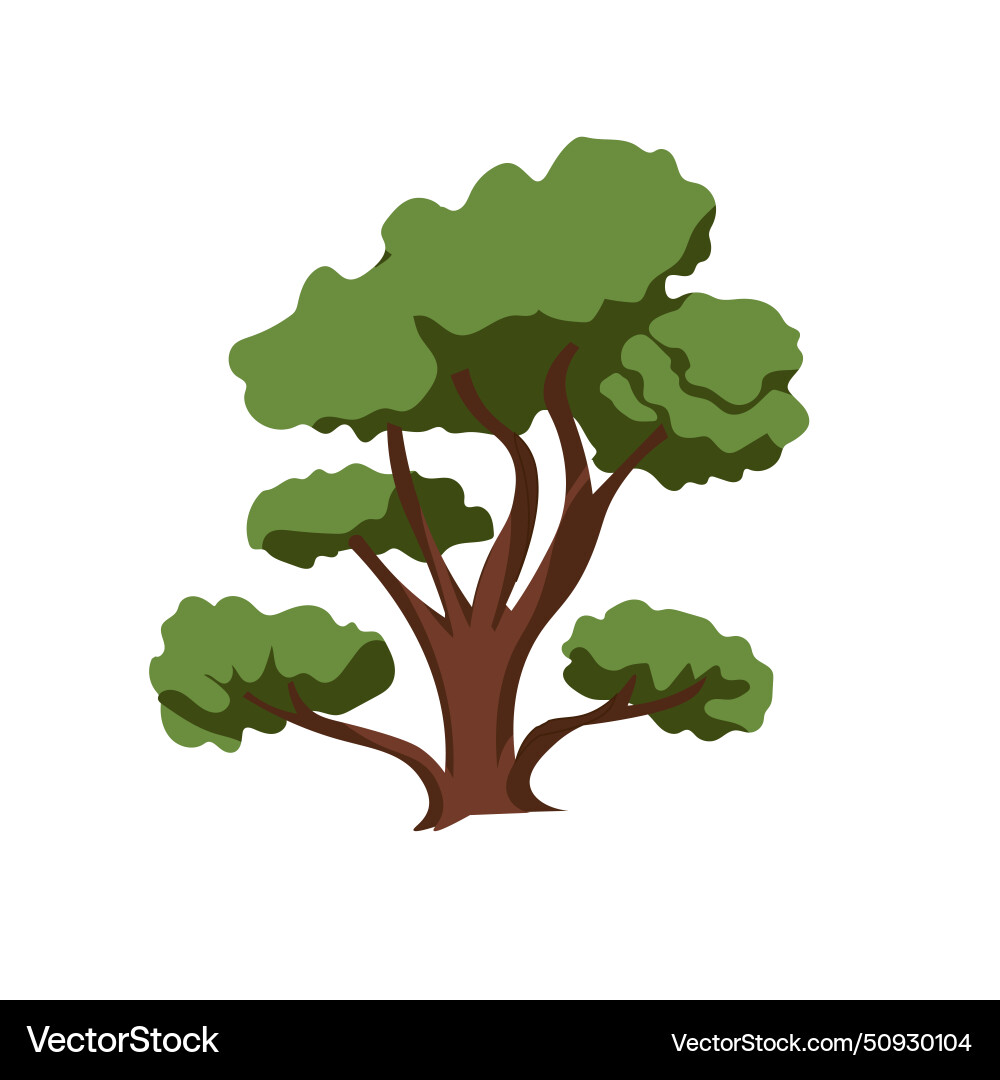 Cartoon tree Royalty Free Vector Image - VectorStock