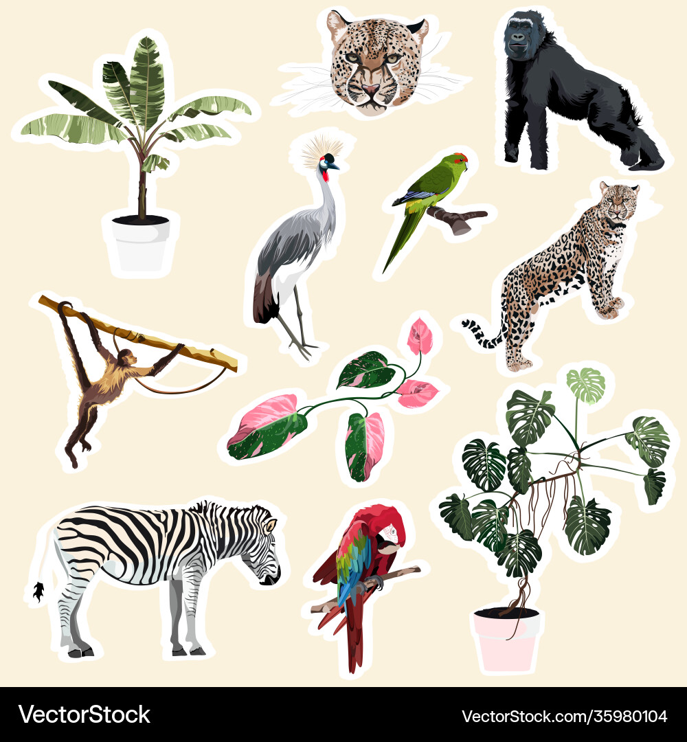 Cute animal object collection with leopard zebra Vector Image