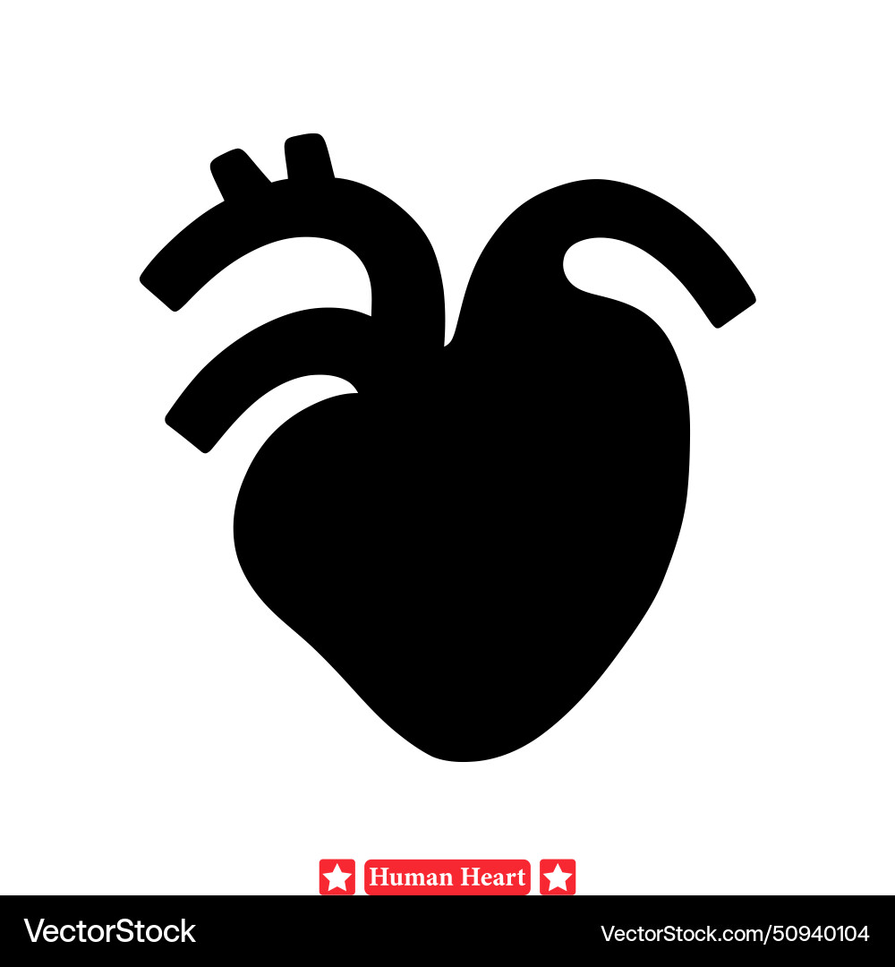 Medical made easy human heart silhouette Vector Image