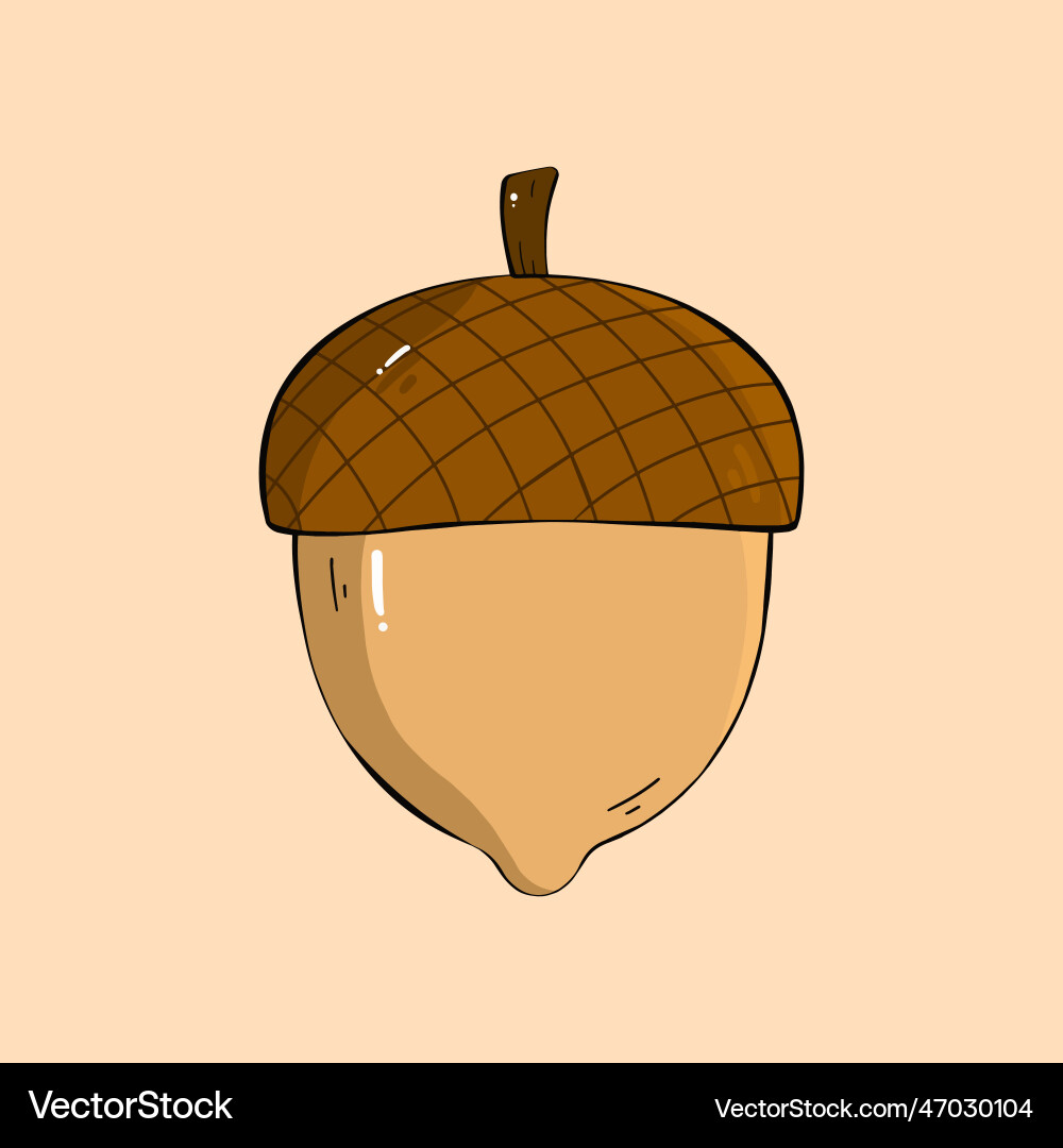 Nut hand drawn Royalty Free Vector Image - VectorStock