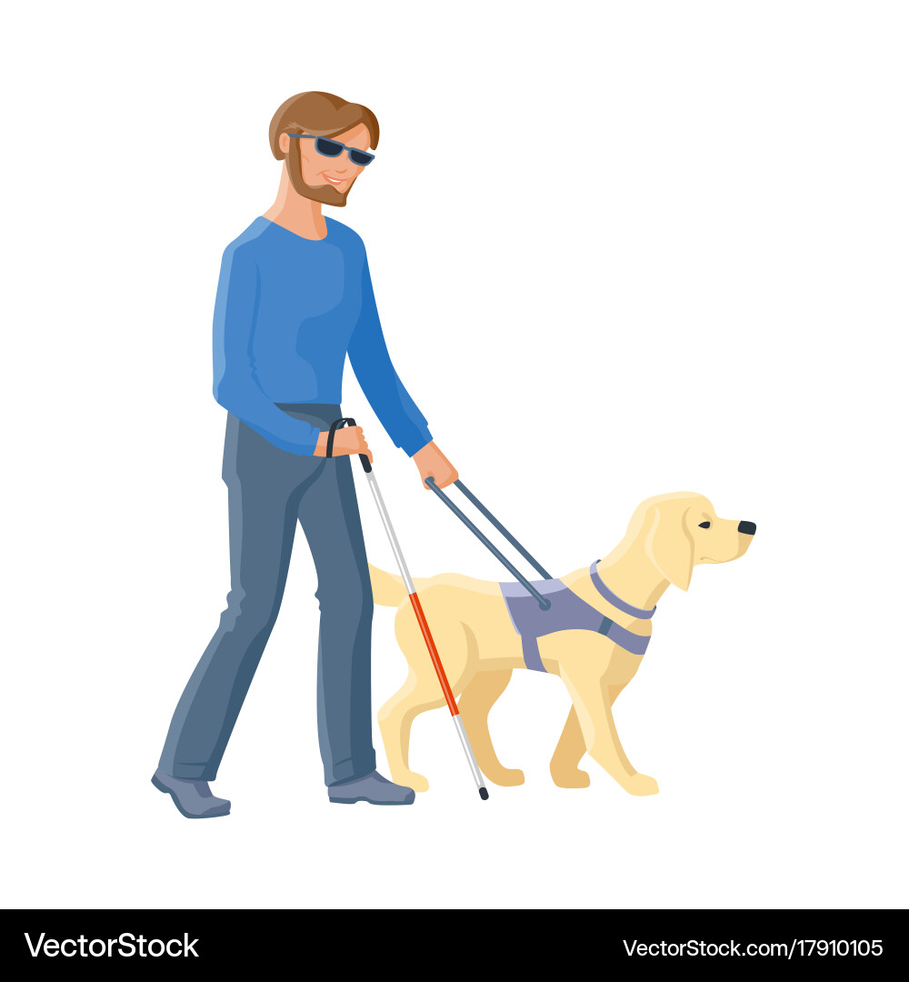 Blind man walking with cane and guide dog Vector Image