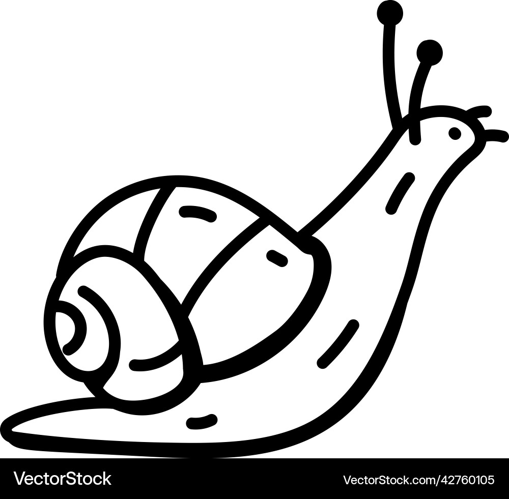Snail Royalty Free Vector Image - VectorStock