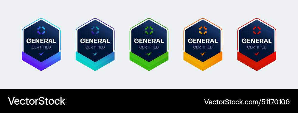 Digital certified business logo professional Vector Image