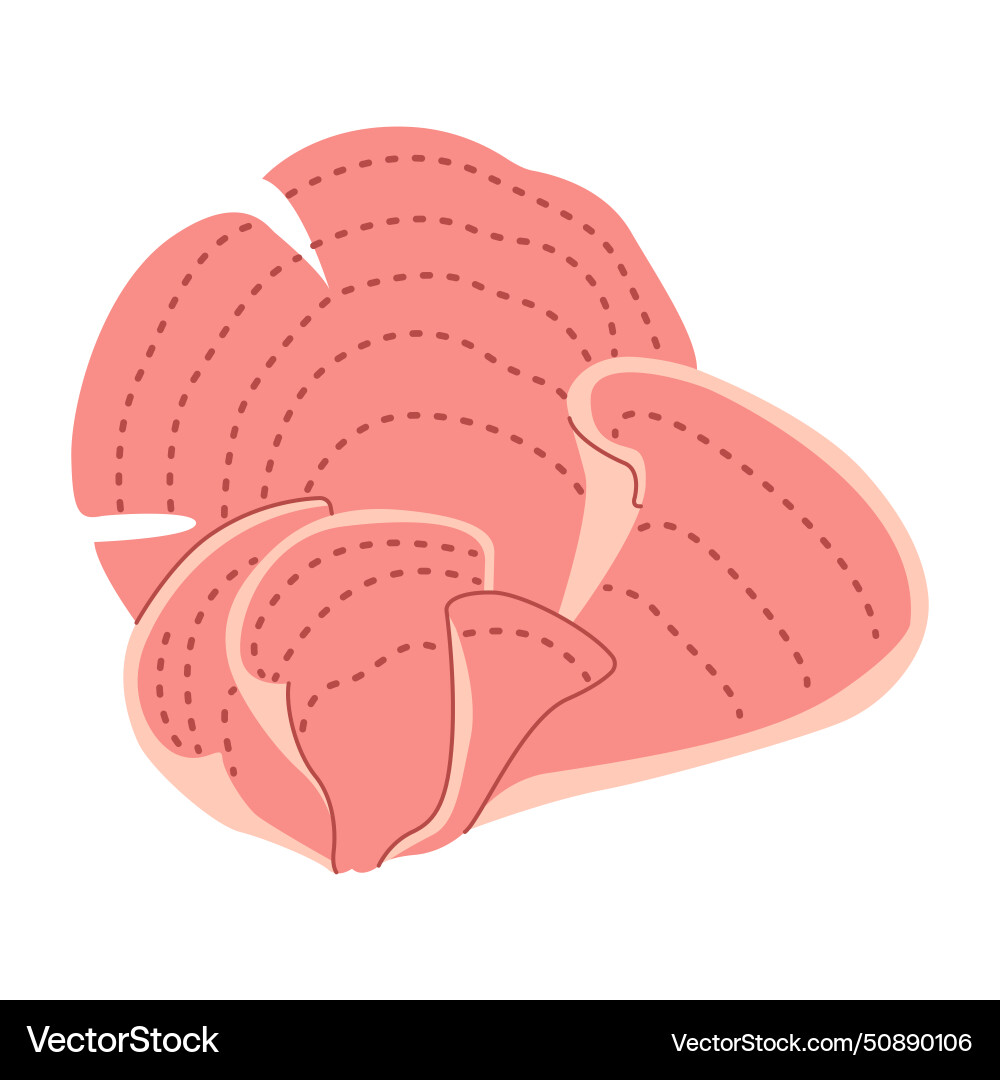 Vase coral cap hand drawn exotic reef Royalty Free Vector