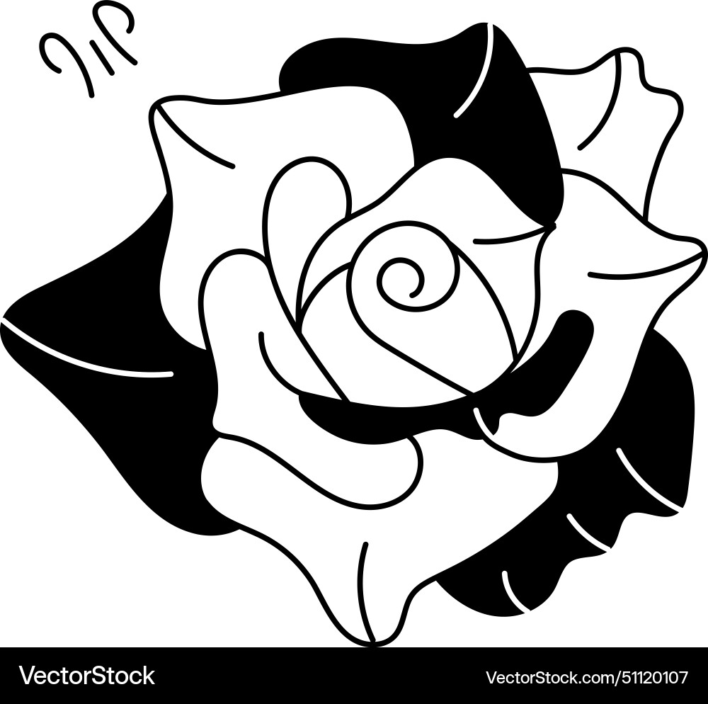 Blooming rose Royalty Free Vector Image - VectorStock