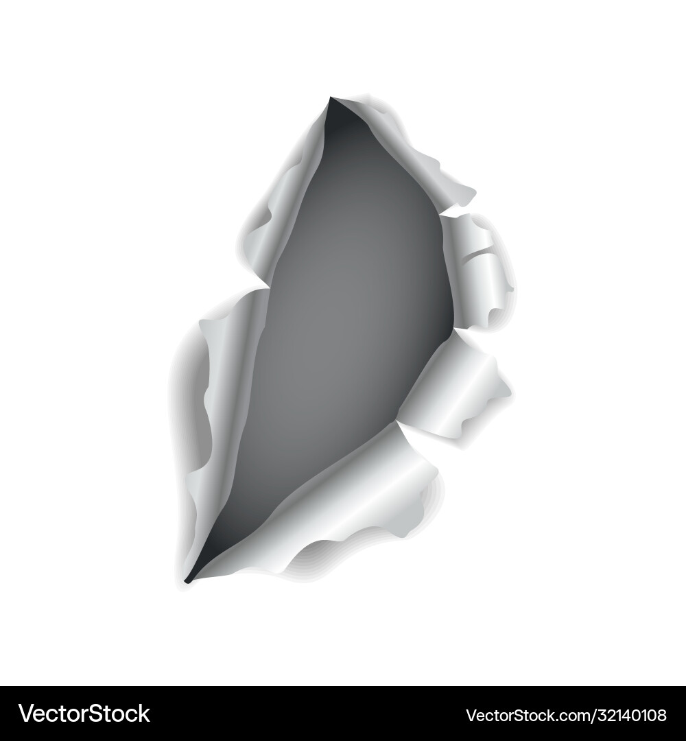 Paper hole realistic torn Royalty Free Vector Image