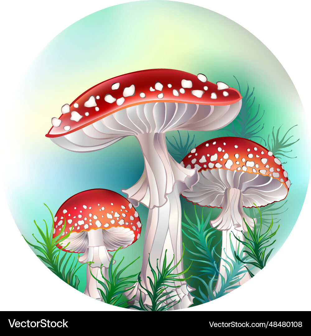 Red fly agarics in circle Royalty Free Vector Image