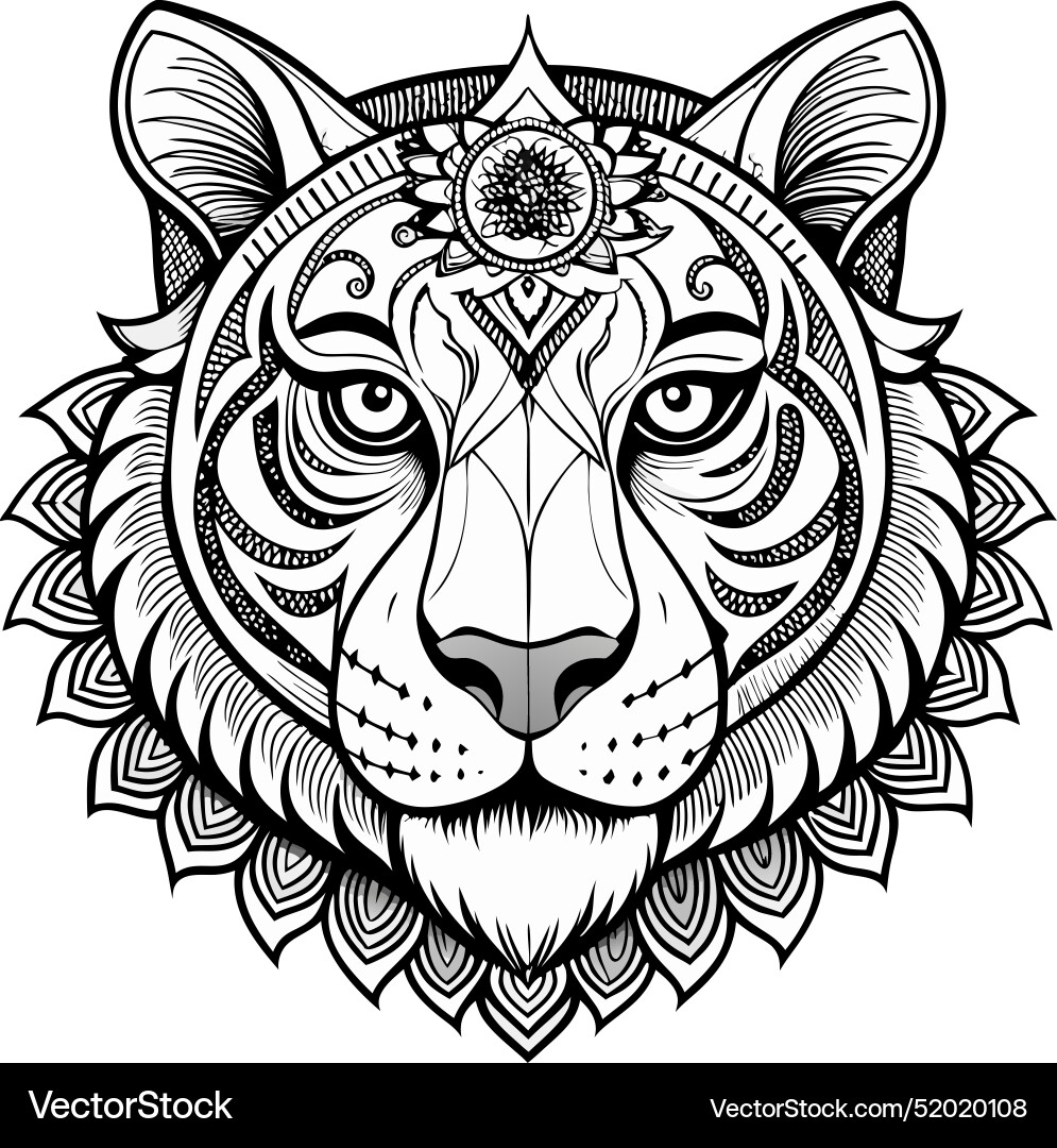 Tiger head mandala entangle coloring page Vector Image