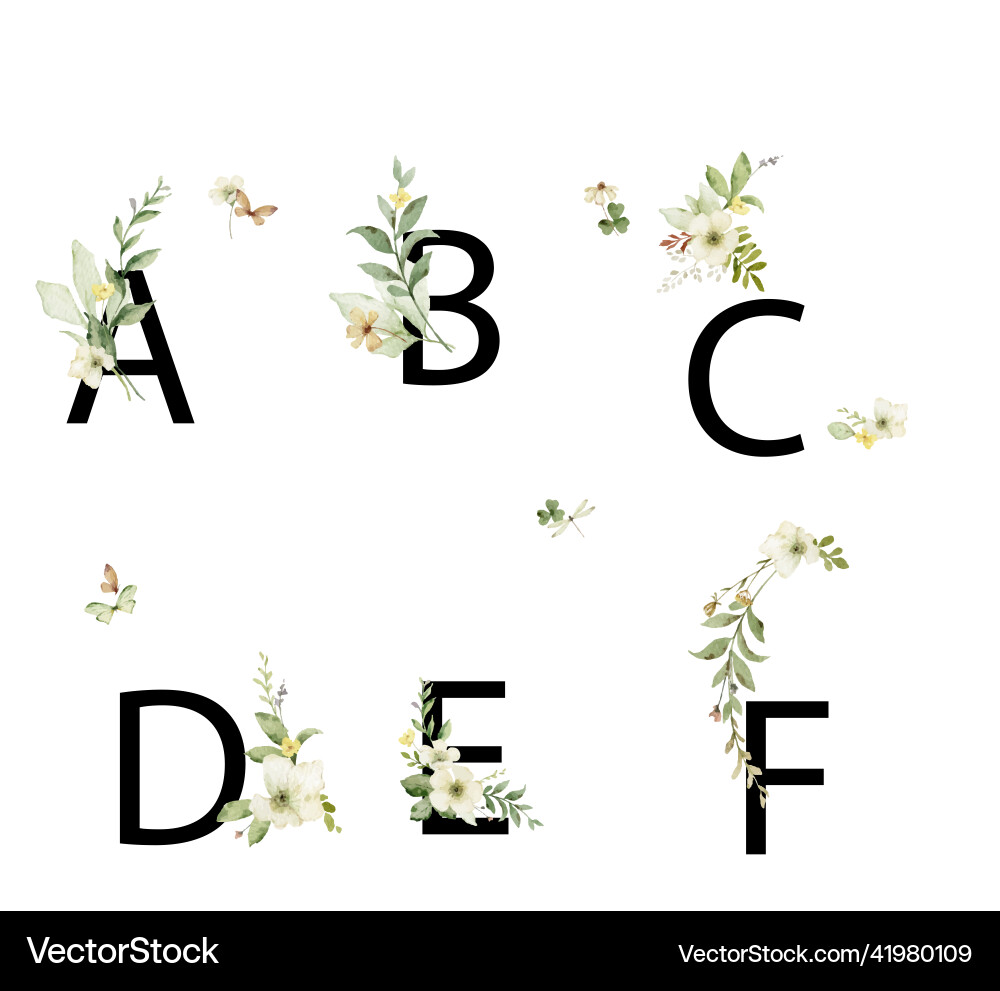 Floral Alphabet Watercolor Royalty Free Vector Image