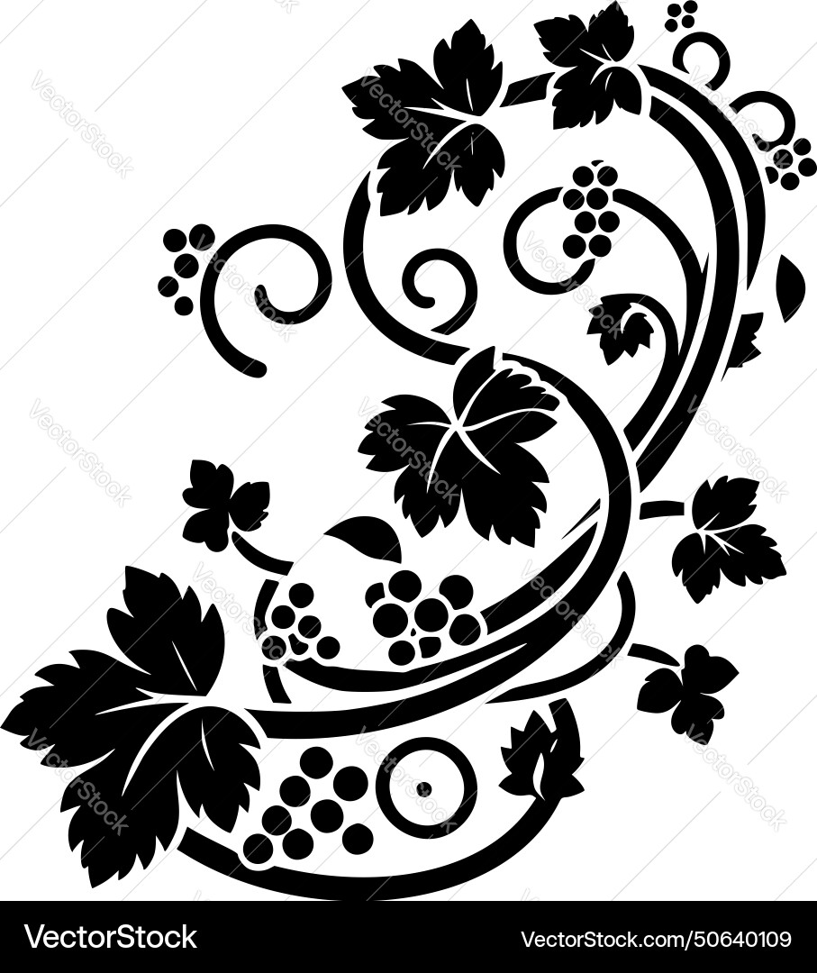 Grapevine silhouette Royalty Free Vector Image