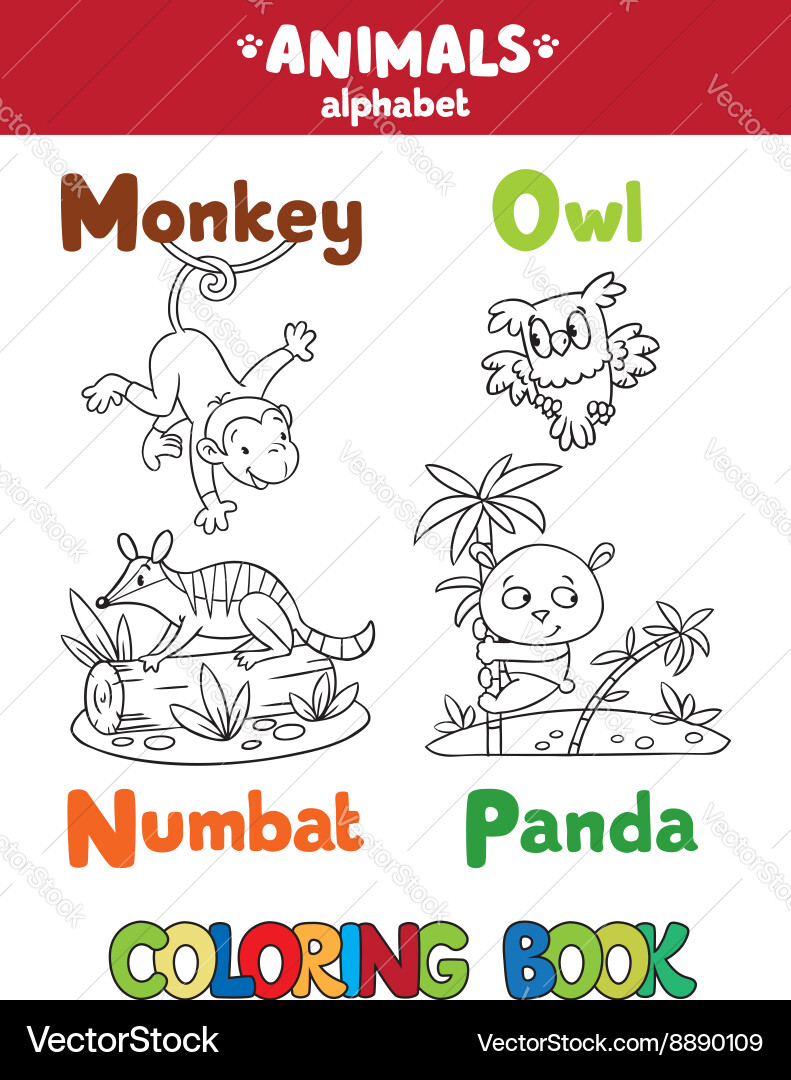 Tier Alphabet Färbung Buch - Affen Pandas O Vektorbild
