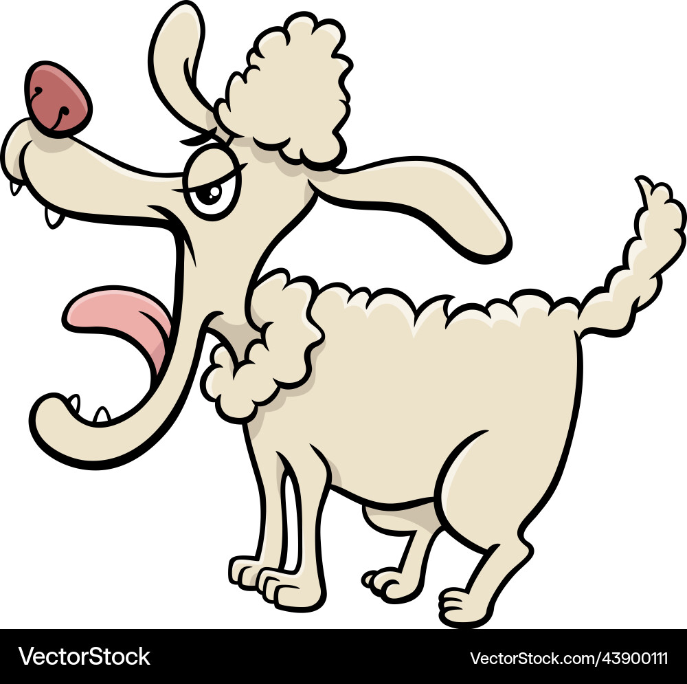 Angry poodle dog cartoon Royalty Free Vector Image