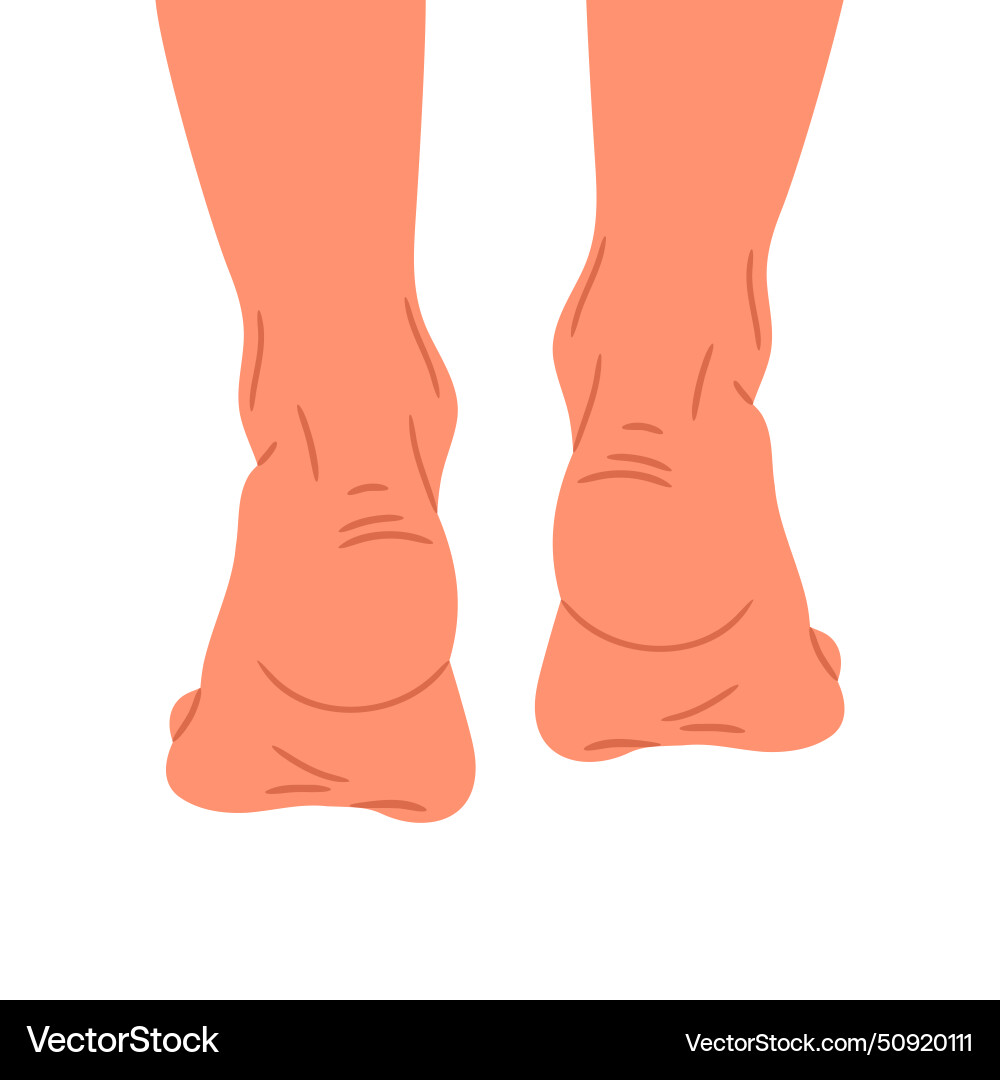 Barefoot legs back view woman walks or sneaks Vector Image