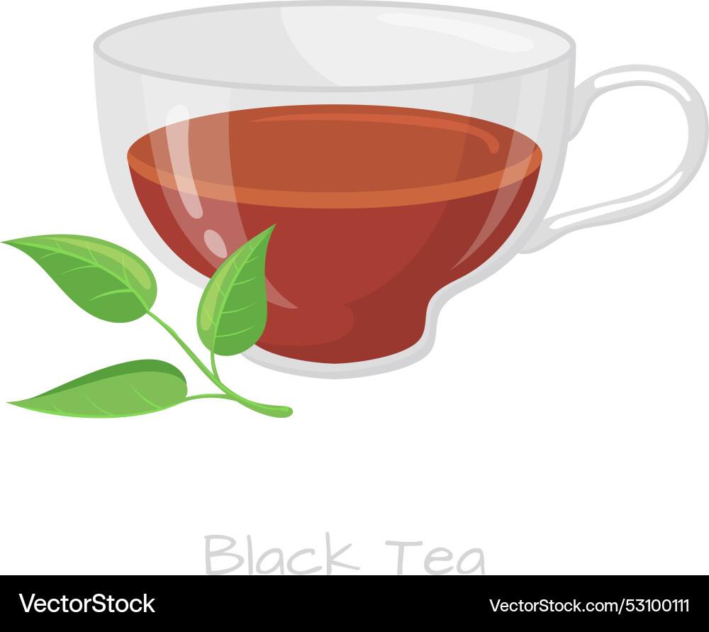Black tea in glass mug cartoon hot Royalty Free Vector Image