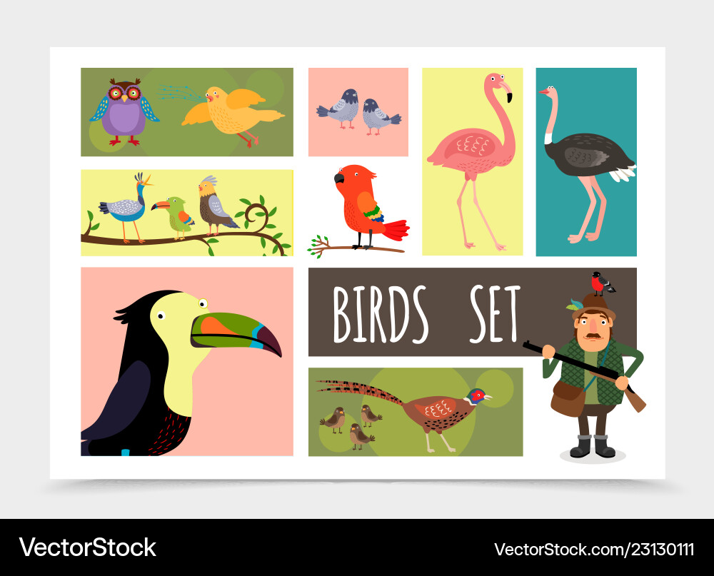 Flat colorful birds collection Royalty Free Vector Image
