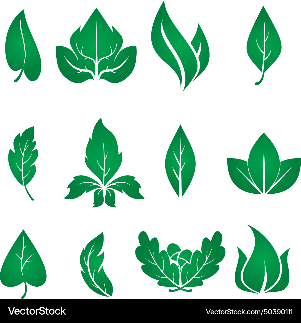 Green leaves Royalty Free Vector Image - VectorStock