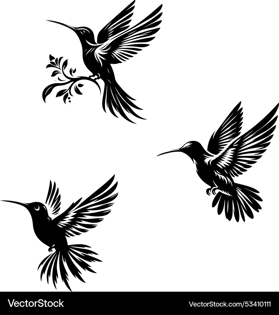 Hummingbird and flower Royalty Free Vector Image