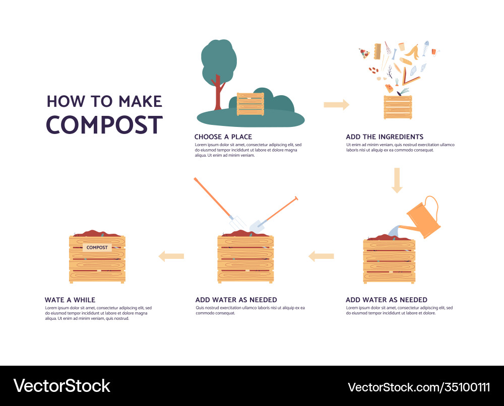 Infographic how to make compost fertilizers Vector Image