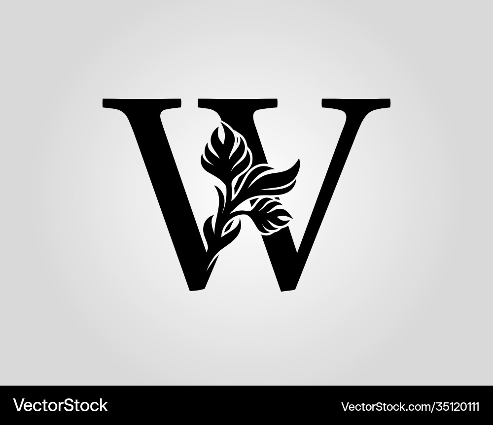 Initial letter w luxury beauty flourishes Vector Image