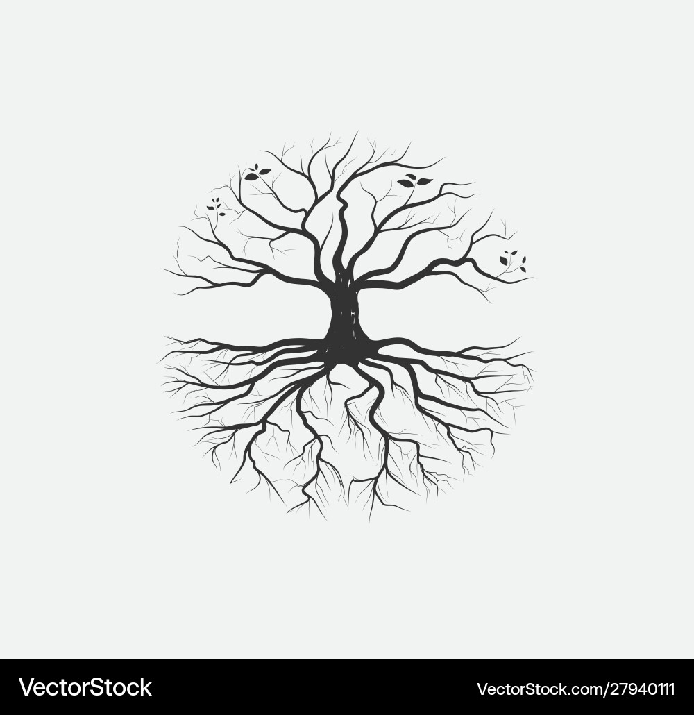 Tree Roots Pencil Drawing Drawing Lesson. Draw A Tree With Leaves