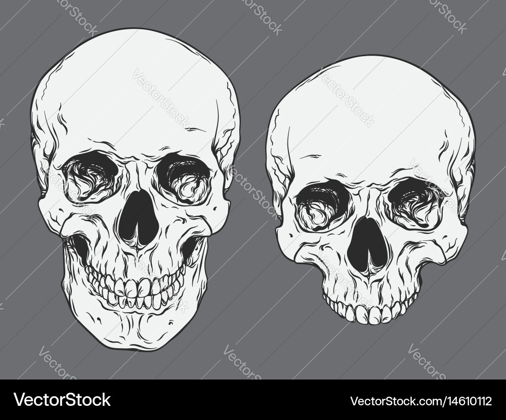 Isolated Line Art Skulls Set Royalty Free Vector Image