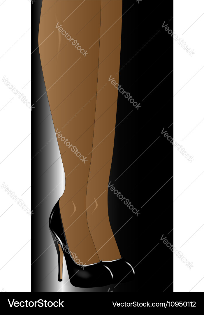 Legs with stiletto heals Royalty Free Vector Image