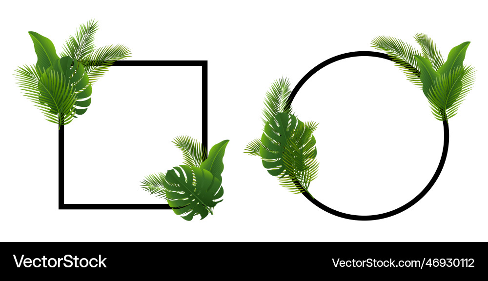 Poster with palm tree leaves white background Vector Image