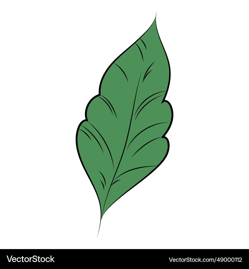 Simple leaf flat Royalty Free Vector Image - VectorStock