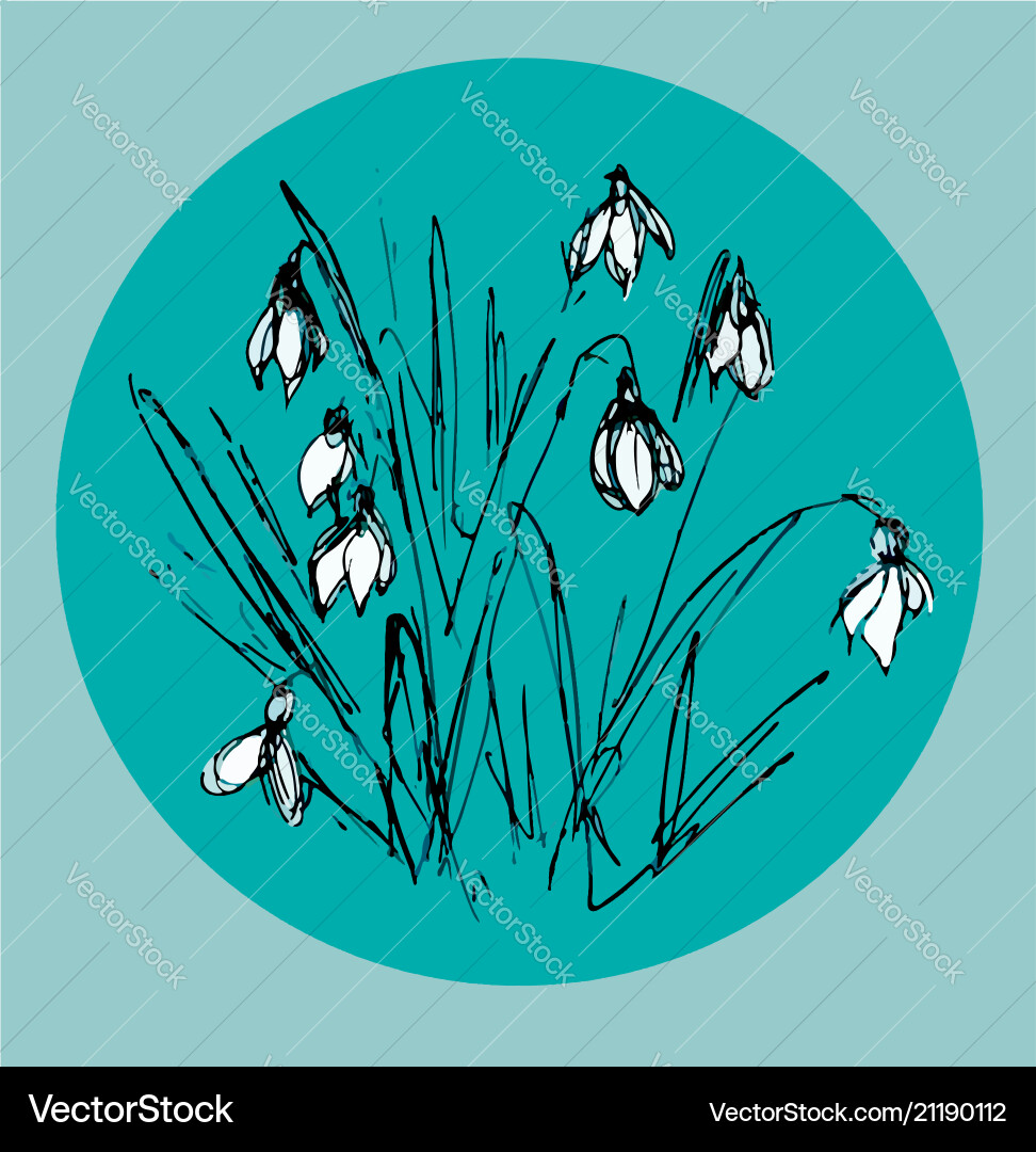Snowdrops Royalty Free Vector Image - VectorStock