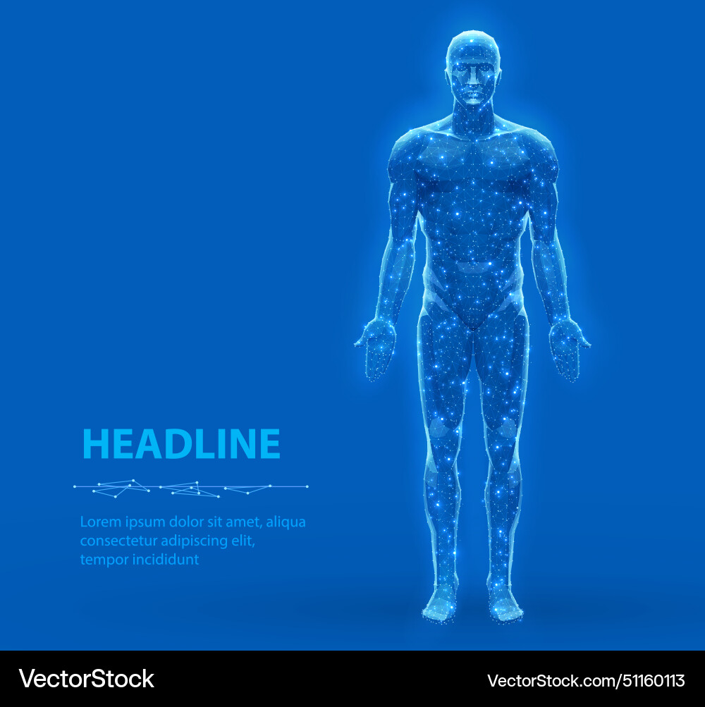Human body abstract digital anatomy Royalty Free Vector