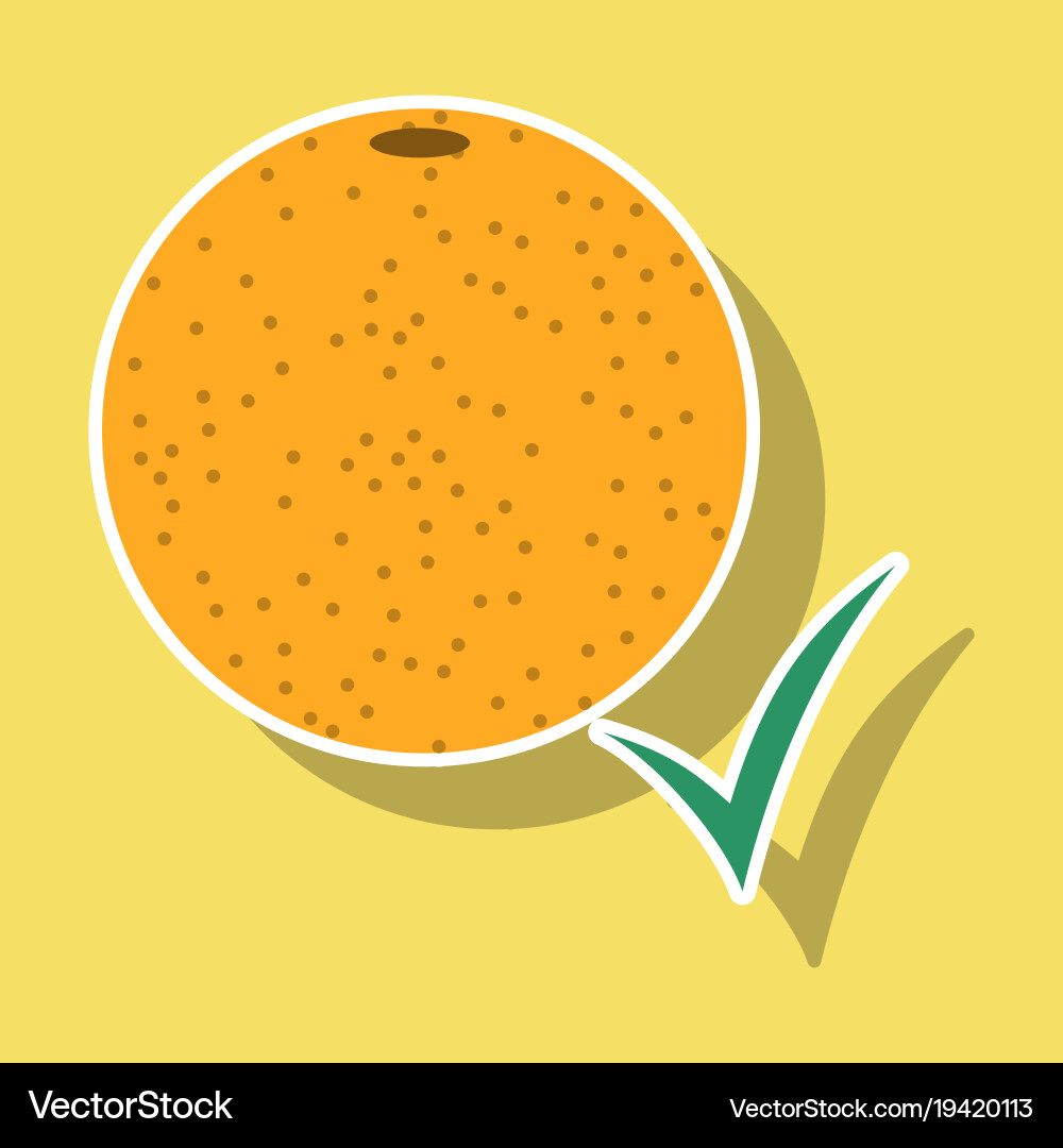 Orange whole of Royalty Free Vector Image - VectorStock
