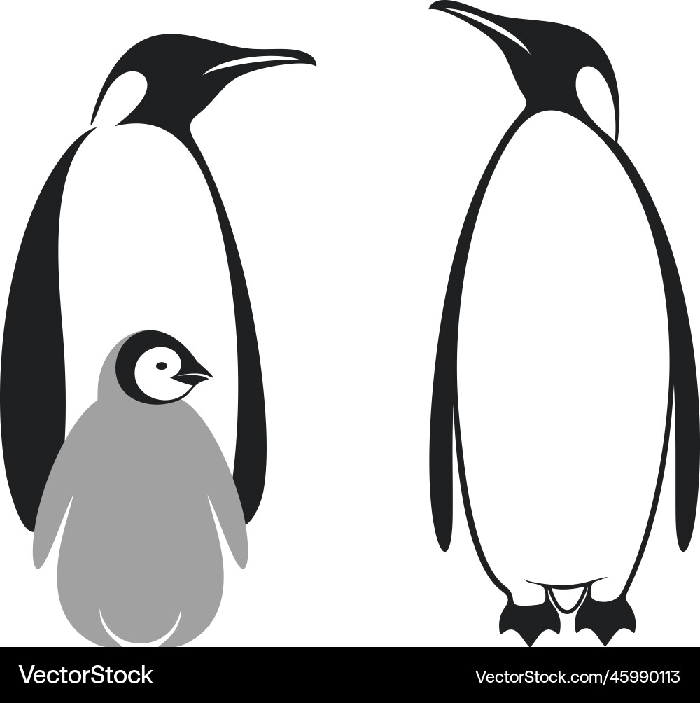 Penguin Royalty Free Vector Image - VectorStock